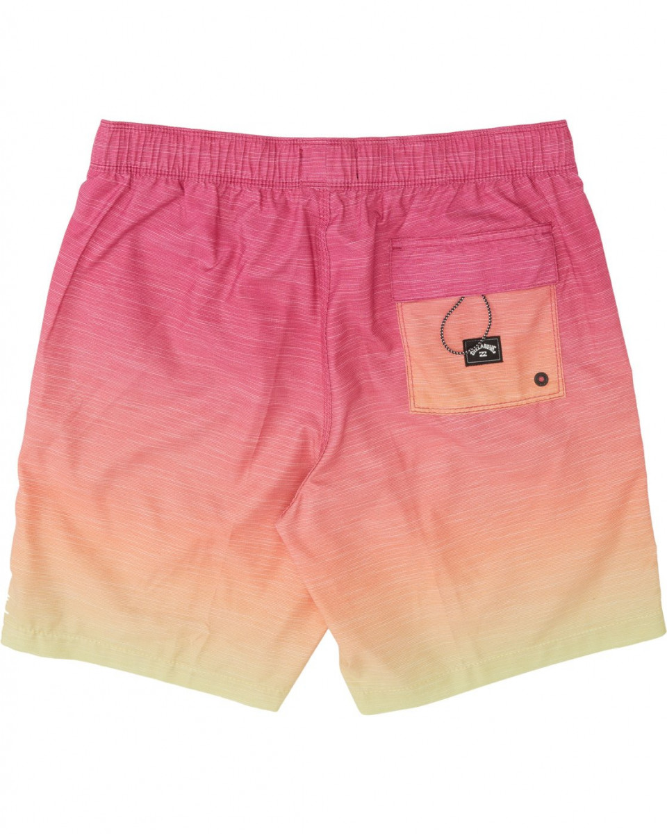 Купить бордшорты Billabong All Day Faded Laybacks 16" (S1LB09-BIP0-1494 ...